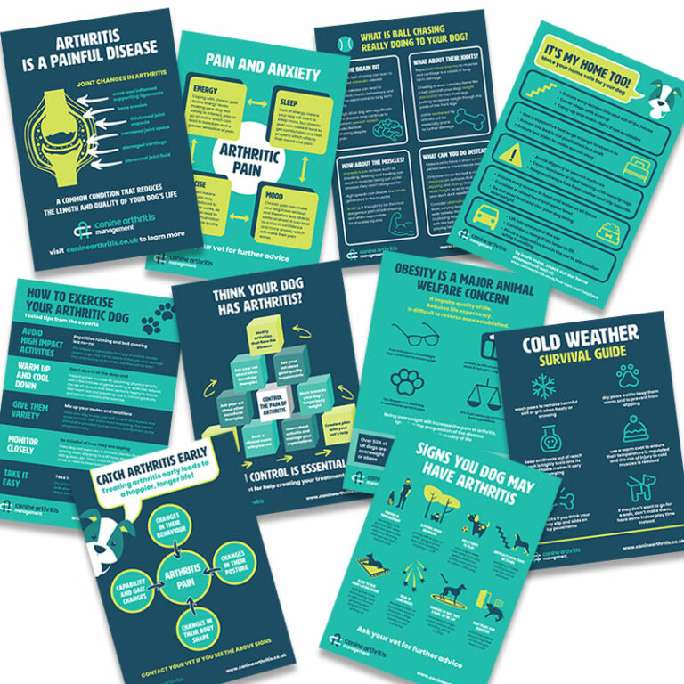 Practice Poster Pack - CAM Online Shop