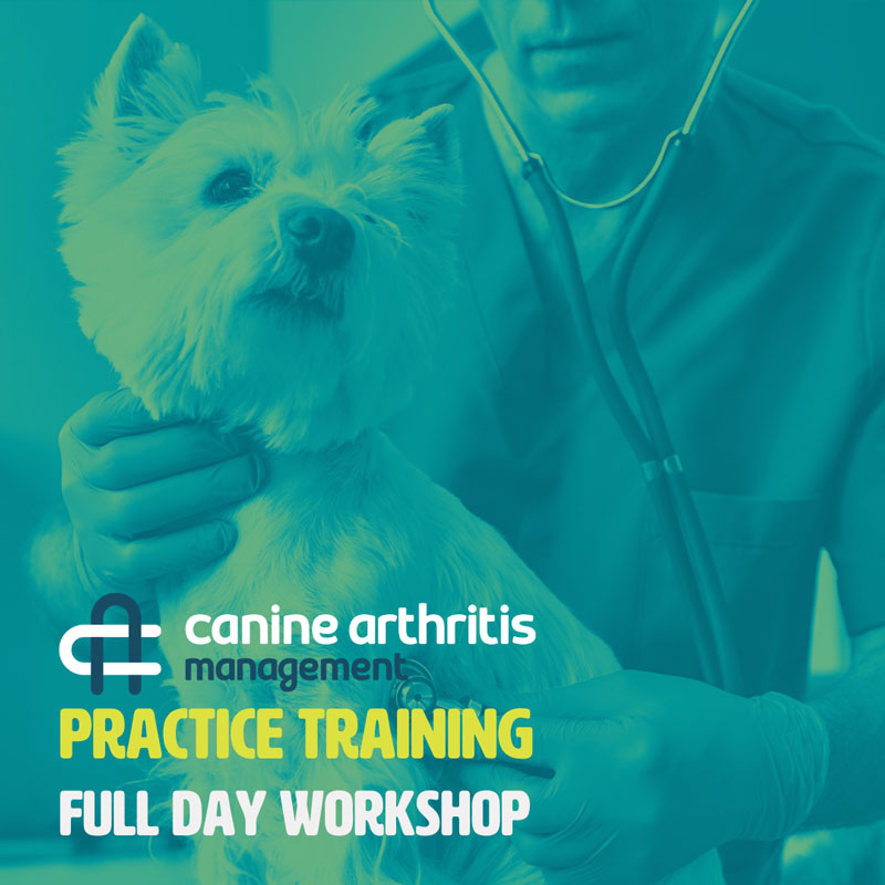 Practice & Online Courses - CAM Online Shop